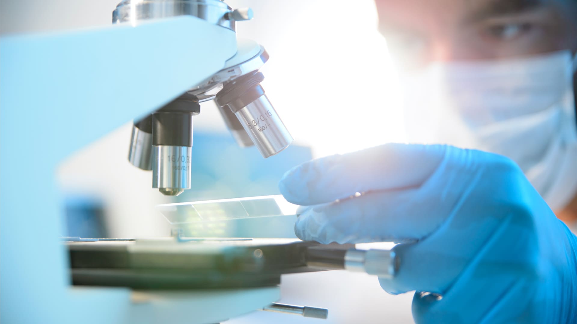 Infektionen und Infektionskrankheiten | gesund.bund.de