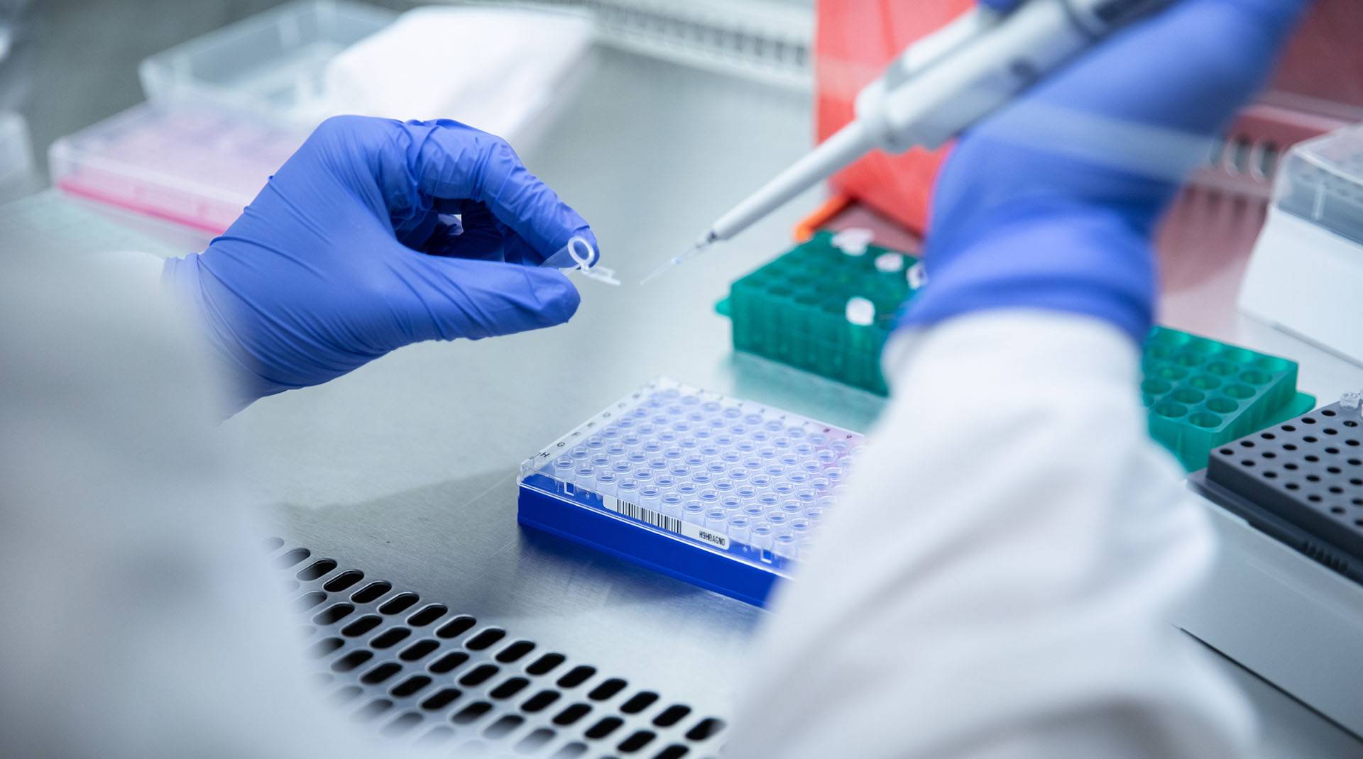 SARS: symptoms, outlook and risk factors | gesund.bund.de